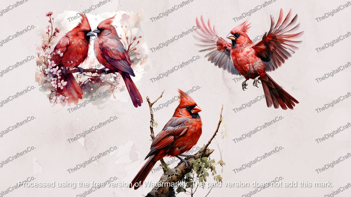 Red Cardinal SVG PNG Collection Watercolor Red Cardinal Clipart Instant ...