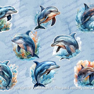 Dolphin Watercolor Clipart: 20 PNG Graphics (instant Download) - Etsy