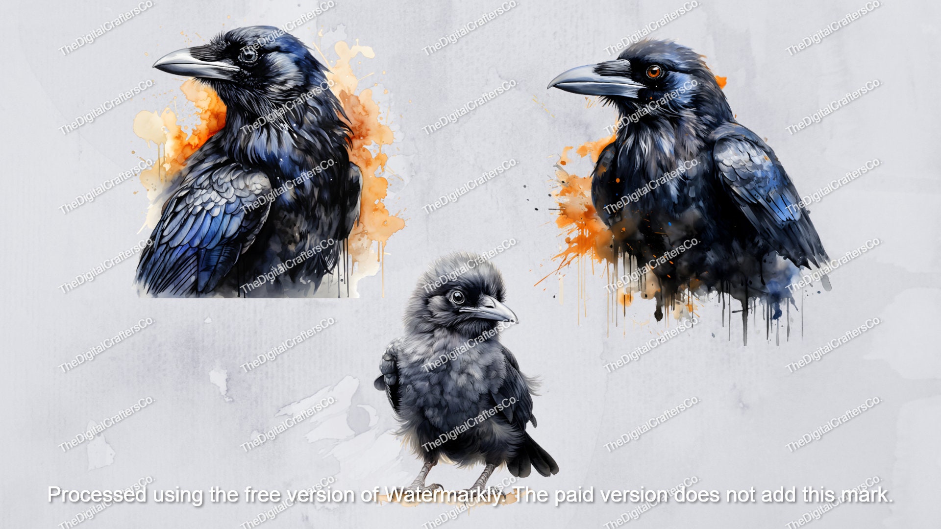 Raven Clipart Set, 19 Watercolor Raven, Collage Images, Bird Clipart ...