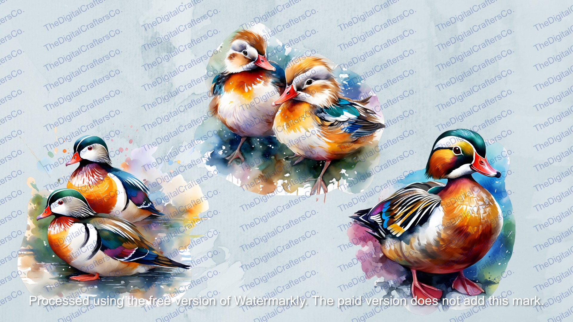 Mandarin Duck PNG SVG Collection Mandarin Duck Clipart Instant Download ...