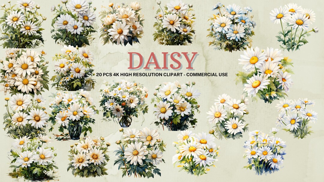 Daisy PNG Collection | Watercolor Daisy Clipart | Instant Download | 20 ...