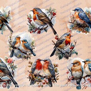 Robin Bird PNG Collection | Watercolor Birds Clipart | Instant Download ...