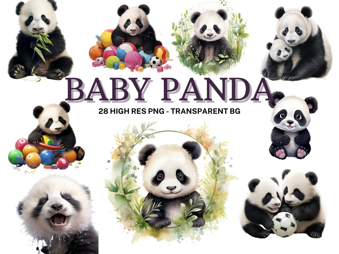 Baby Panda Clipart Set, 24 Watercolor Baby Panda PNG, Cute Panda, Junk ...