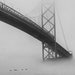 Ambassador Bridge Landscape. Foggy Bridge, Geese Flying Under Bridge ...