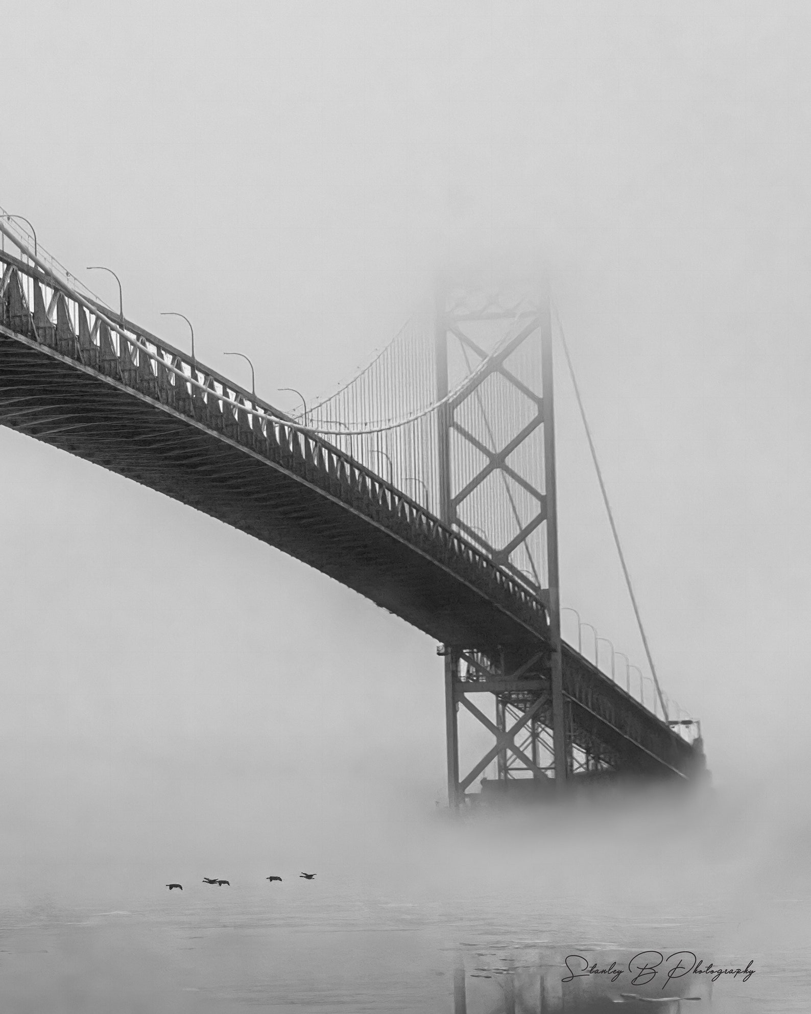 Ambassador Bridge Landscape. Foggy Bridge, Geese Flying Under Bridge ...