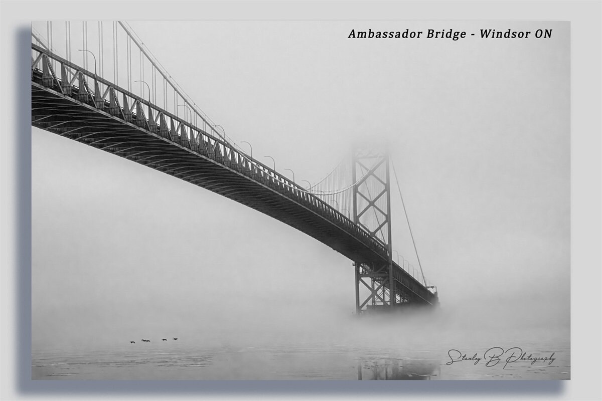 Ambassador Bridge Landscape. Foggy Bridge, Geese Flying Under Bridge ...