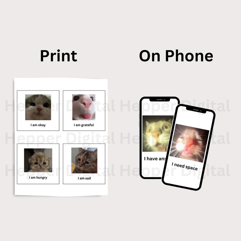 Silly Cat Themed Autism Communication Cards, AAC, Digital Nonverbal Aid ...