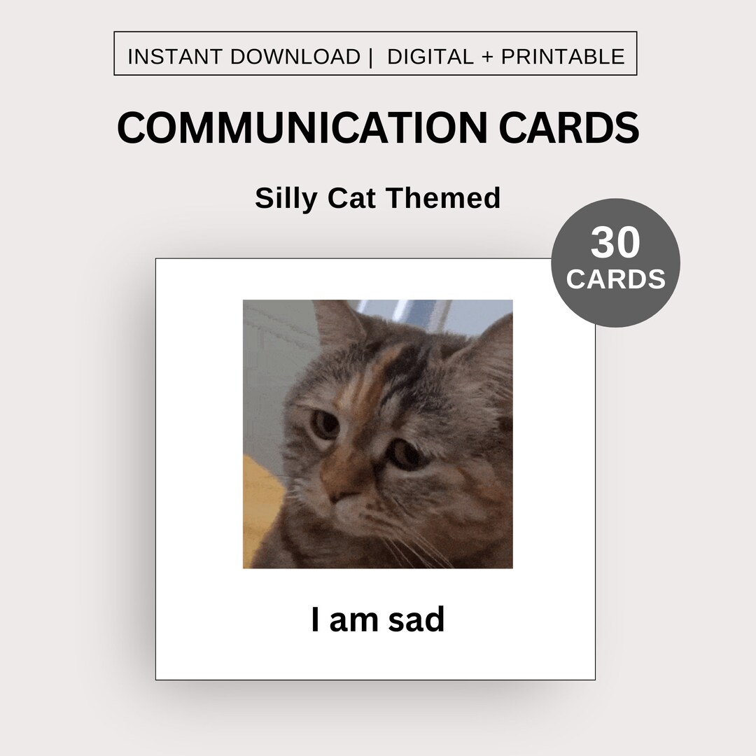 Silly Cat Themed Autism Communication Cards, AAC, Digital Nonverbal Aid ...