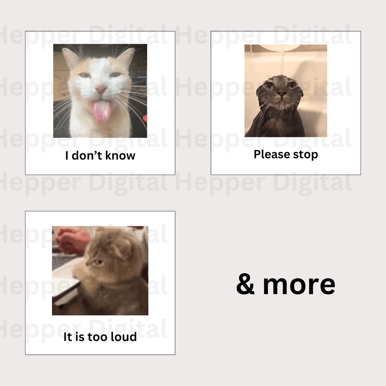 Silly Cat Themed Autism Communication Cards, AAC, Digital Nonverbal Aid ...