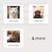 Silly Cat Themed Autism Communication Cards, AAC, Digital Nonverbal Aid ...