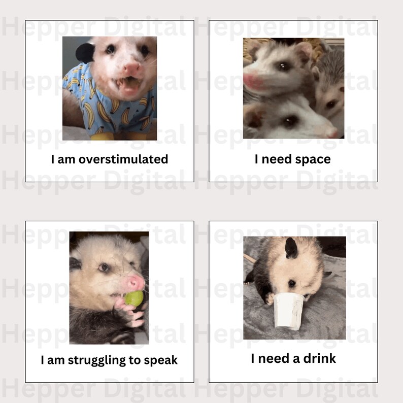 Silly Possum Autism Communication Cards, AAC, Digital Nonverbal Aid ...