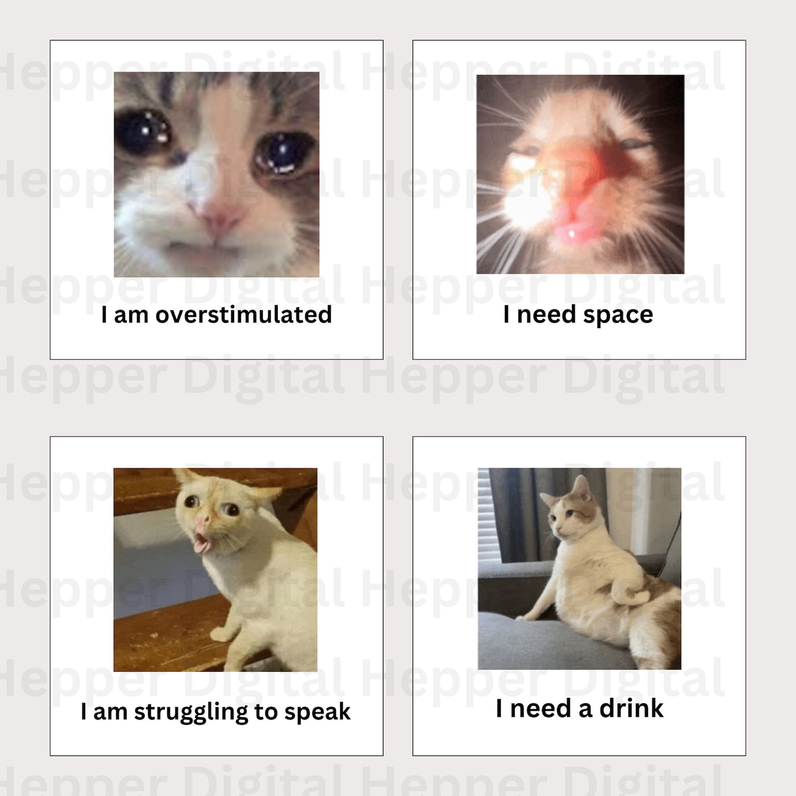 Silly Cat Themed Autism Communication Cards, AAC, Digital Nonverbal Aid ...