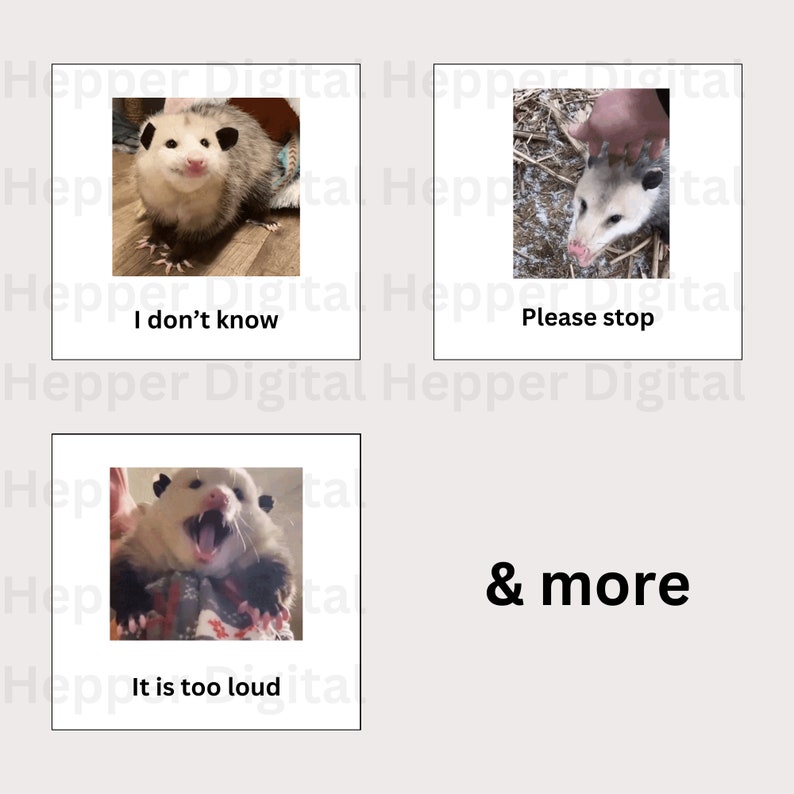 Silly Possum Autism Communication Cards, AAC, Digital Nonverbal Aid ...