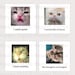 Silly Cat Themed Autism Communication Cards, AAC, Digital Nonverbal Aid ...