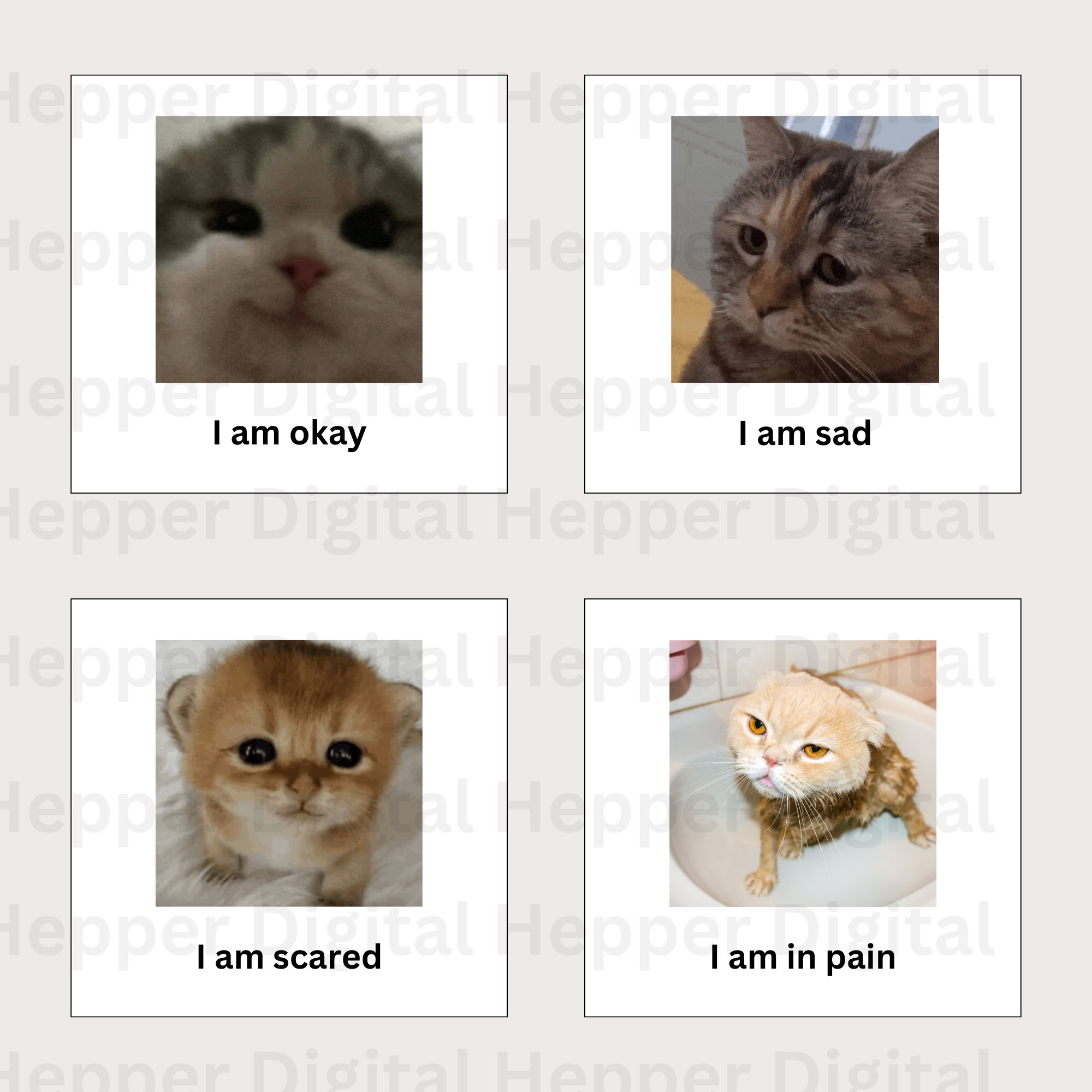 Silly Cat Themed Autism Communication Cards, AAC, Digital Nonverbal Aid ...