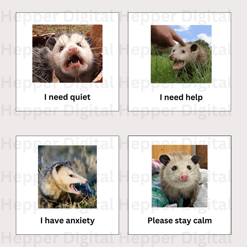 Silly Possum Autism Communication Cards, AAC, Digital Nonverbal Aid ...