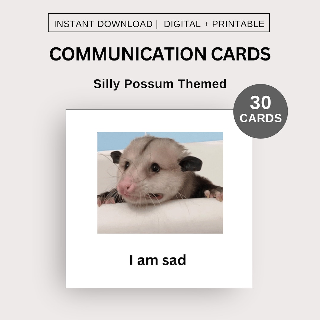 Silly Possum Autism Communication Cards, AAC, Digital Nonverbal Aid ...