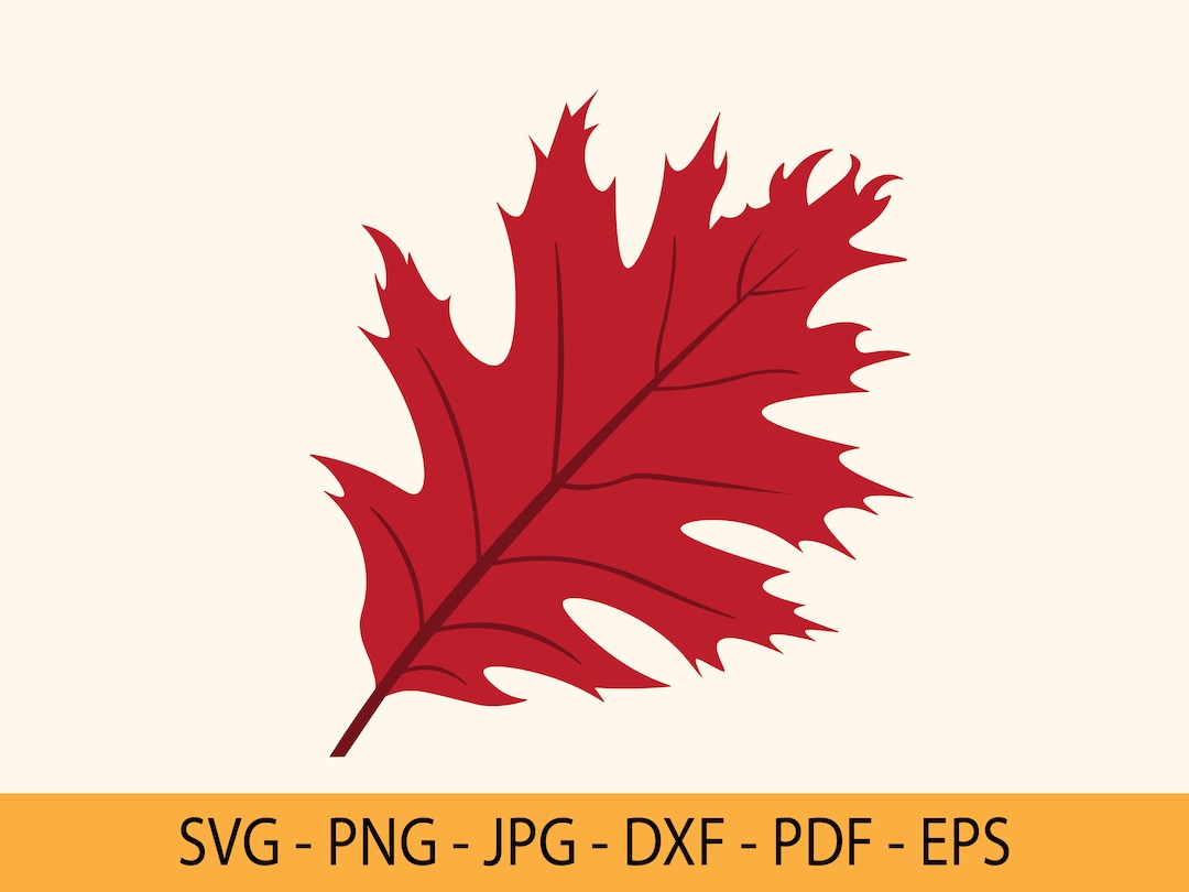 Red Oak Leaf Svg Png Dxf Eps Jpg Pdf, Autumn Fall Themed Png for ...