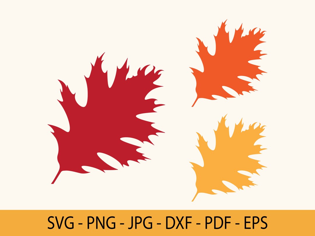 Oak Leaf Changing Seasons Svg, Colorful Autumn Oak Leaf Svg, Fall Oak ...
