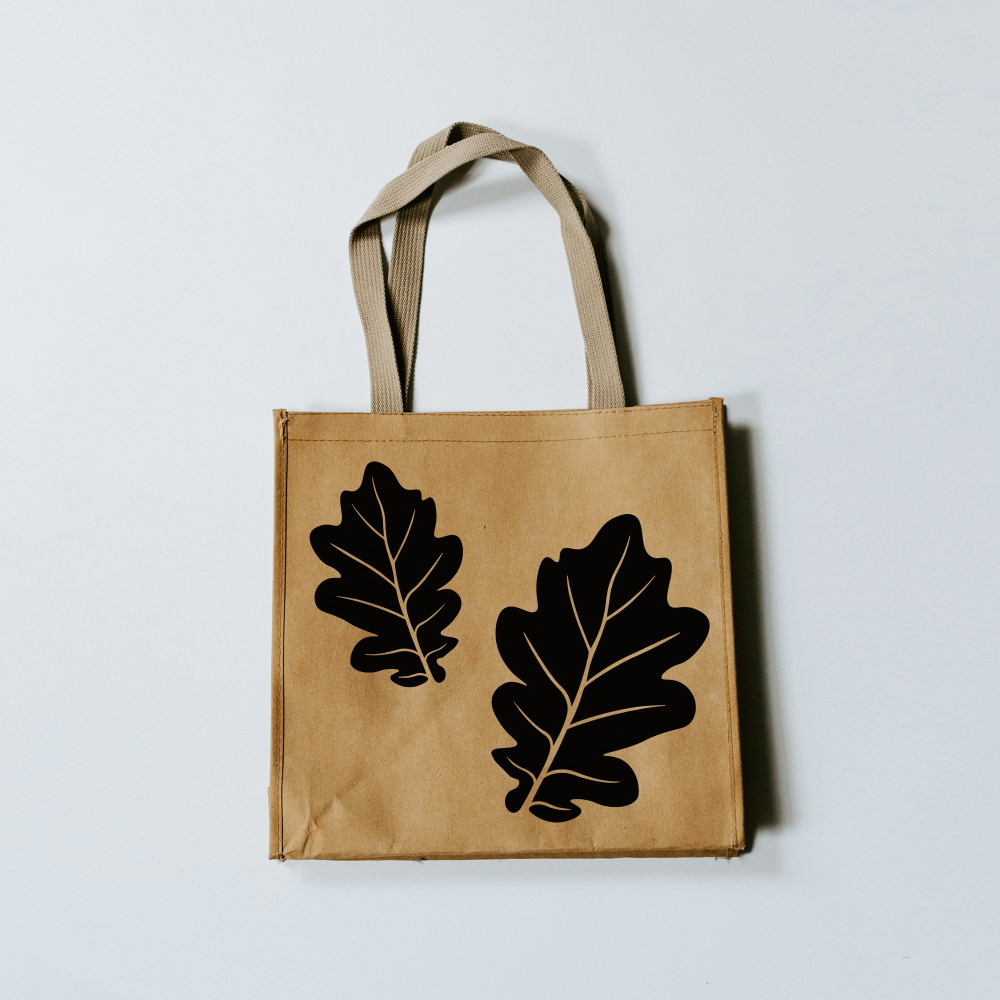 Water Oak Leaf Svg Cut Files For Cricut Silhouette Laser Autum Fall Themed Svg Png Dxf Files