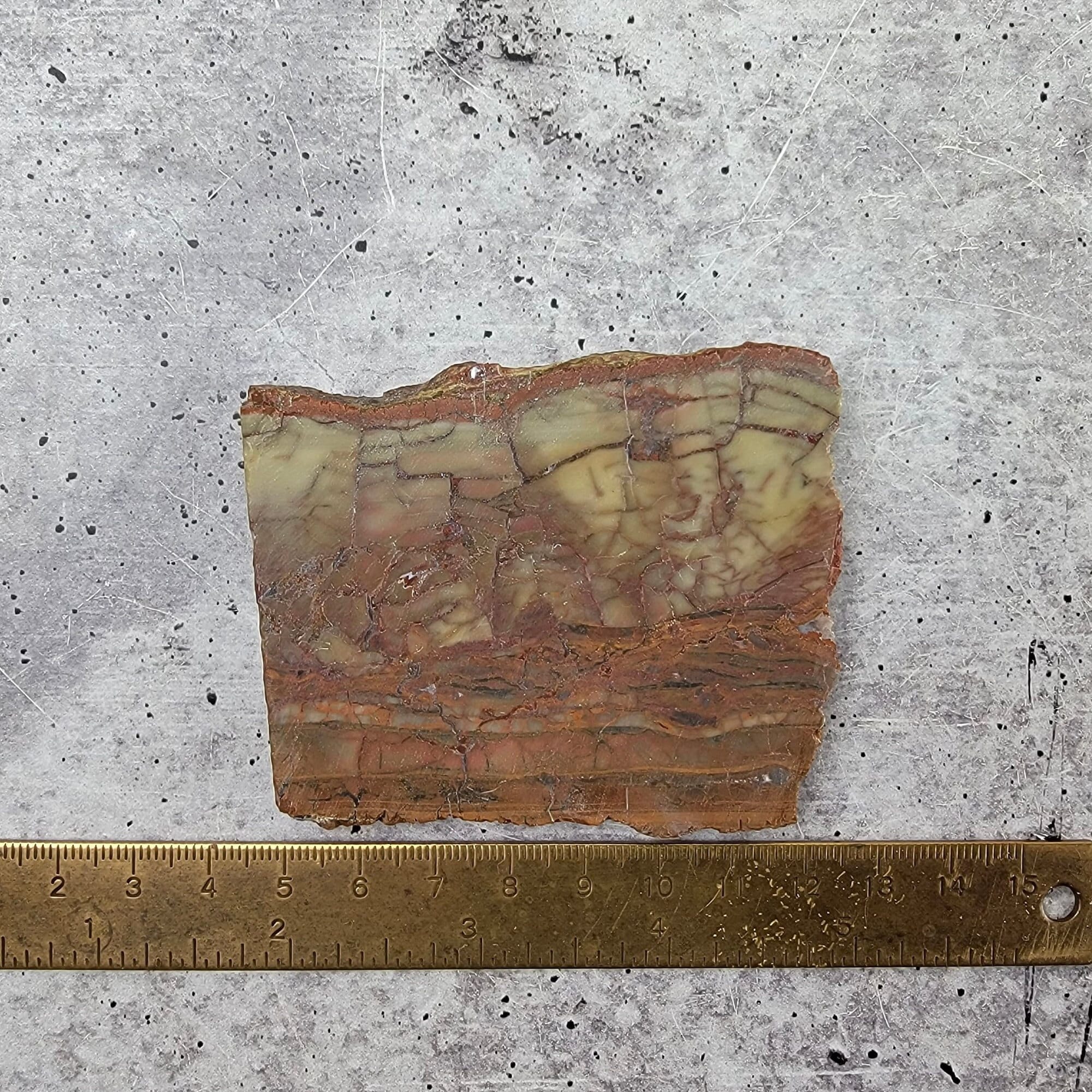 Spider Web Rhyolite - Etsy