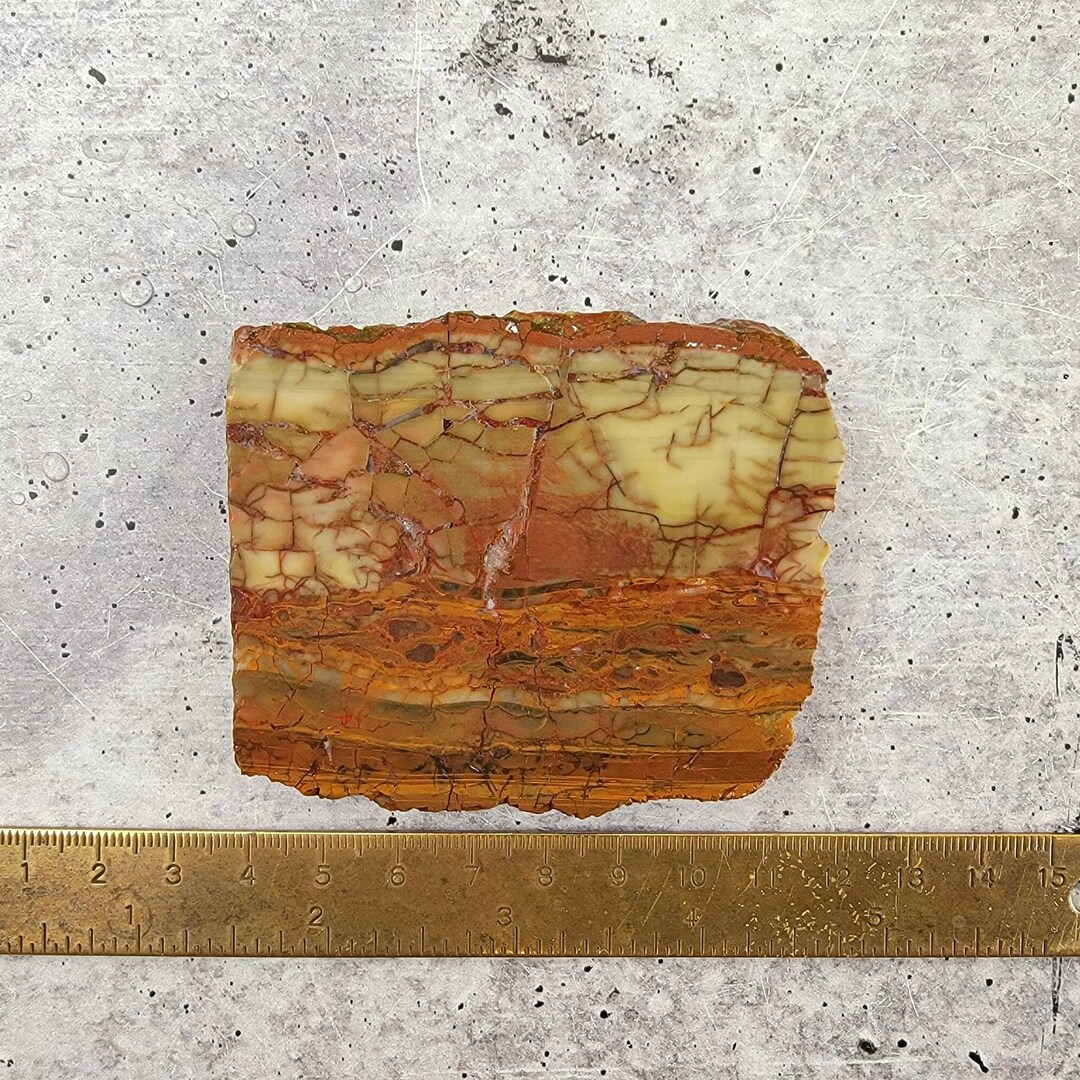 Spider Web Rhyolite - Etsy