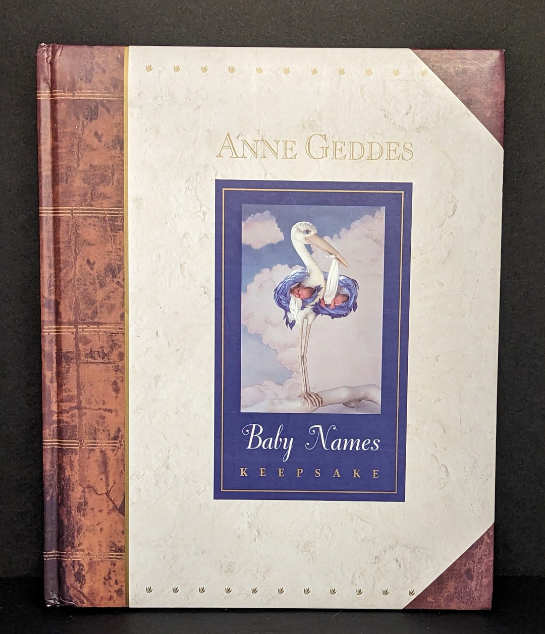 Vintage Baby Names Keepsake Book by Anne Geddes: Baby Name Ideas and ...