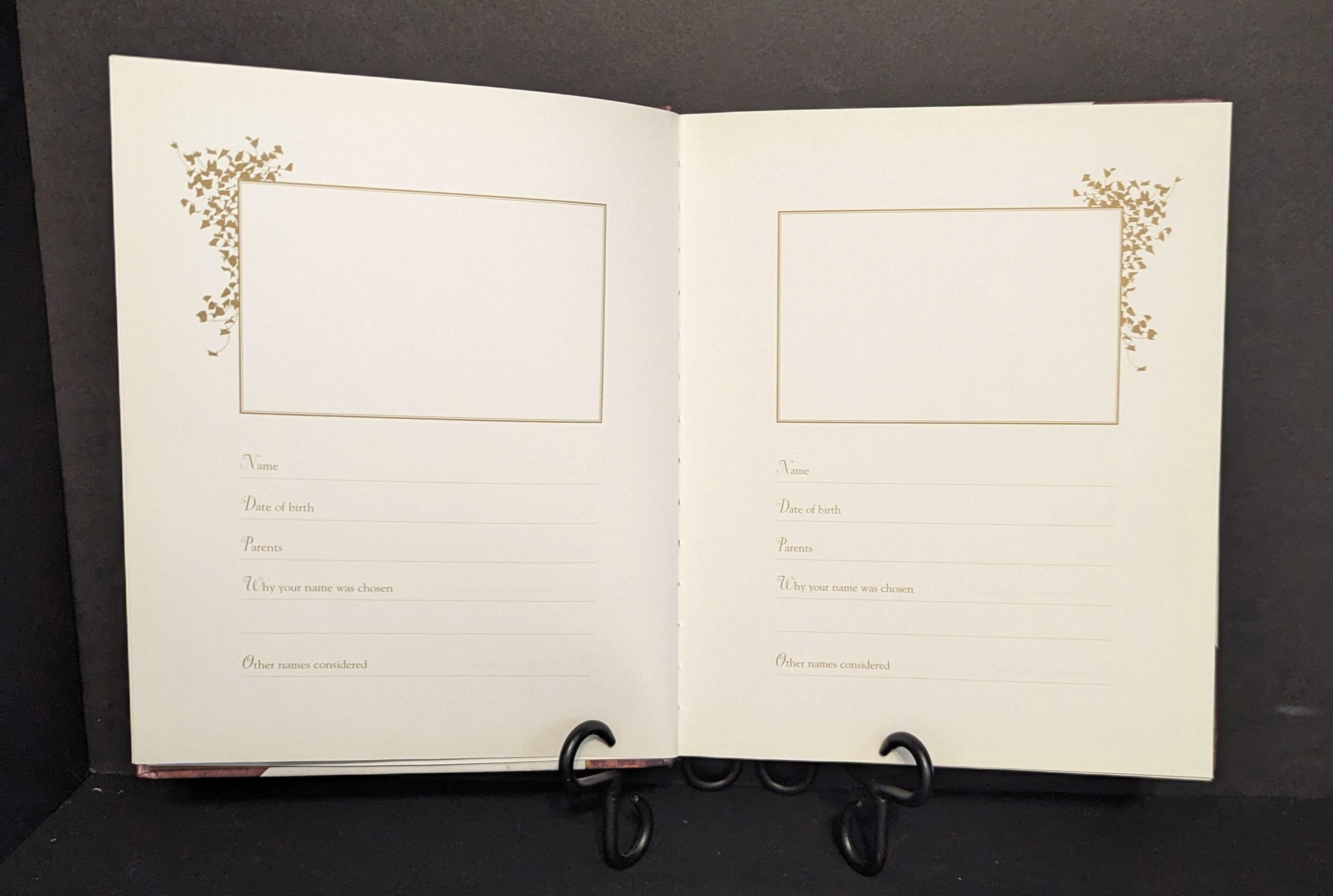 Vintage Baby Names Keepsake Book by Anne Geddes: Baby Name Ideas and ...