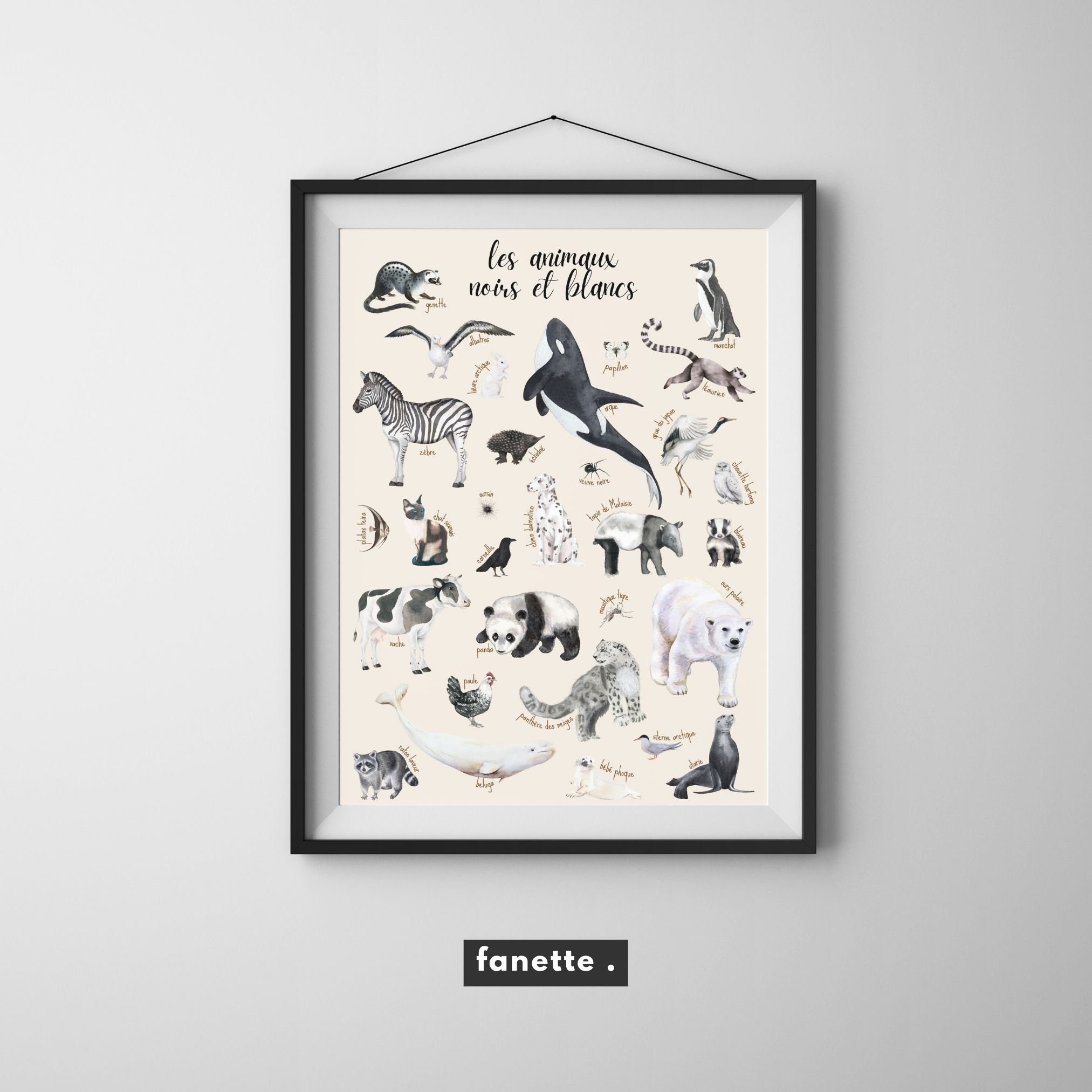 Downloadable and Printable Poster/board on Black and White Animals ...