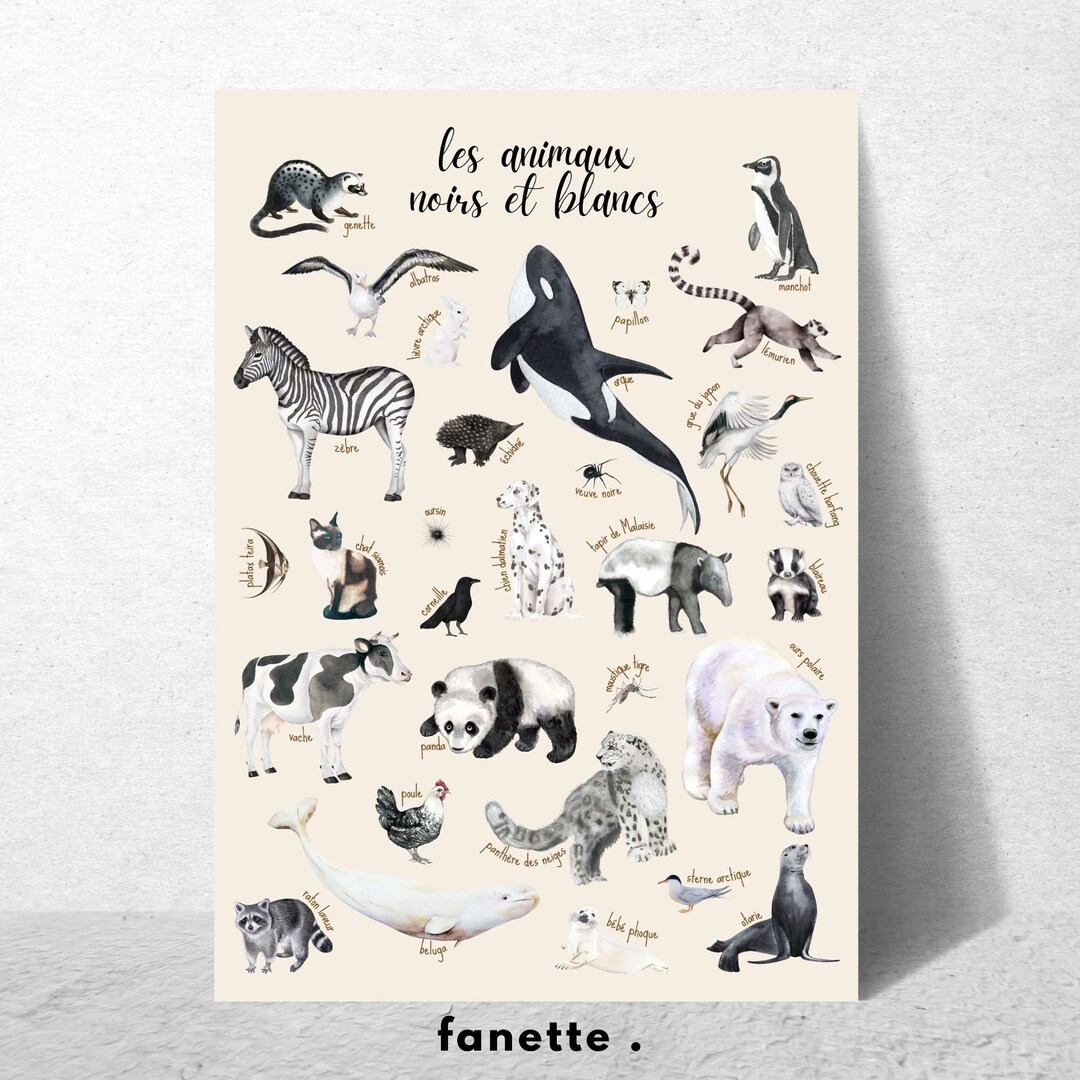 Downloadable and Printable Poster/board on Black and White Animals ...
