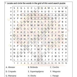Wordsearch Game in Spanish Espanol Sopa De Letras Actividad 7 Puzzles ...
