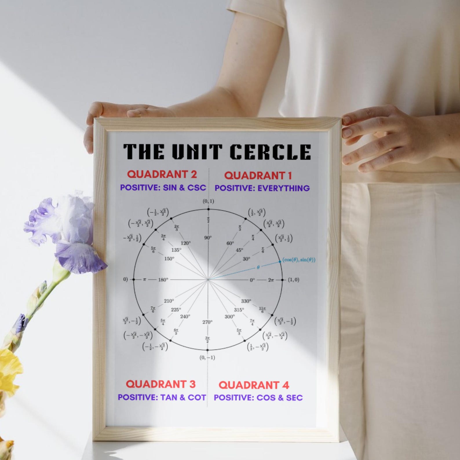 Unit Circle Poster, Calculus , Math Classroom Decor, Math Poster ...