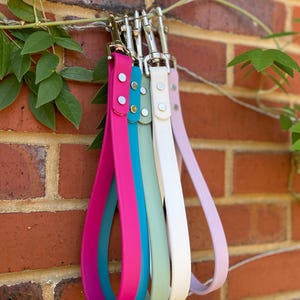 Durable Biothane Traffic Handle Dog Leash - Waterproof, Short Training ...