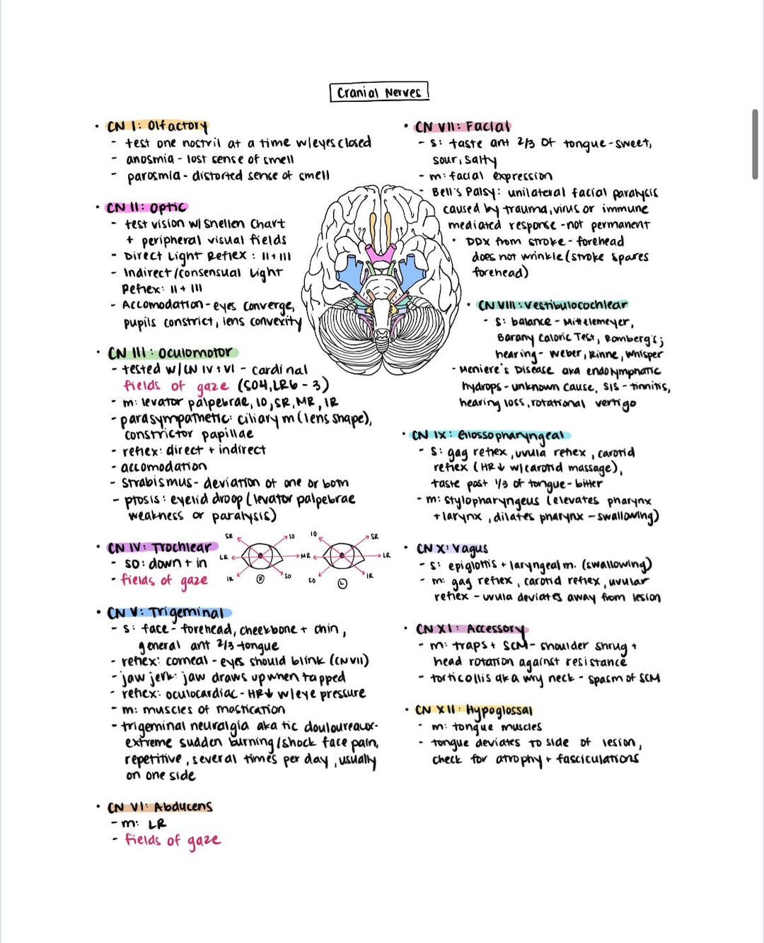 Part Two Chiropractic (NBCE) Boards Notes - Etsy