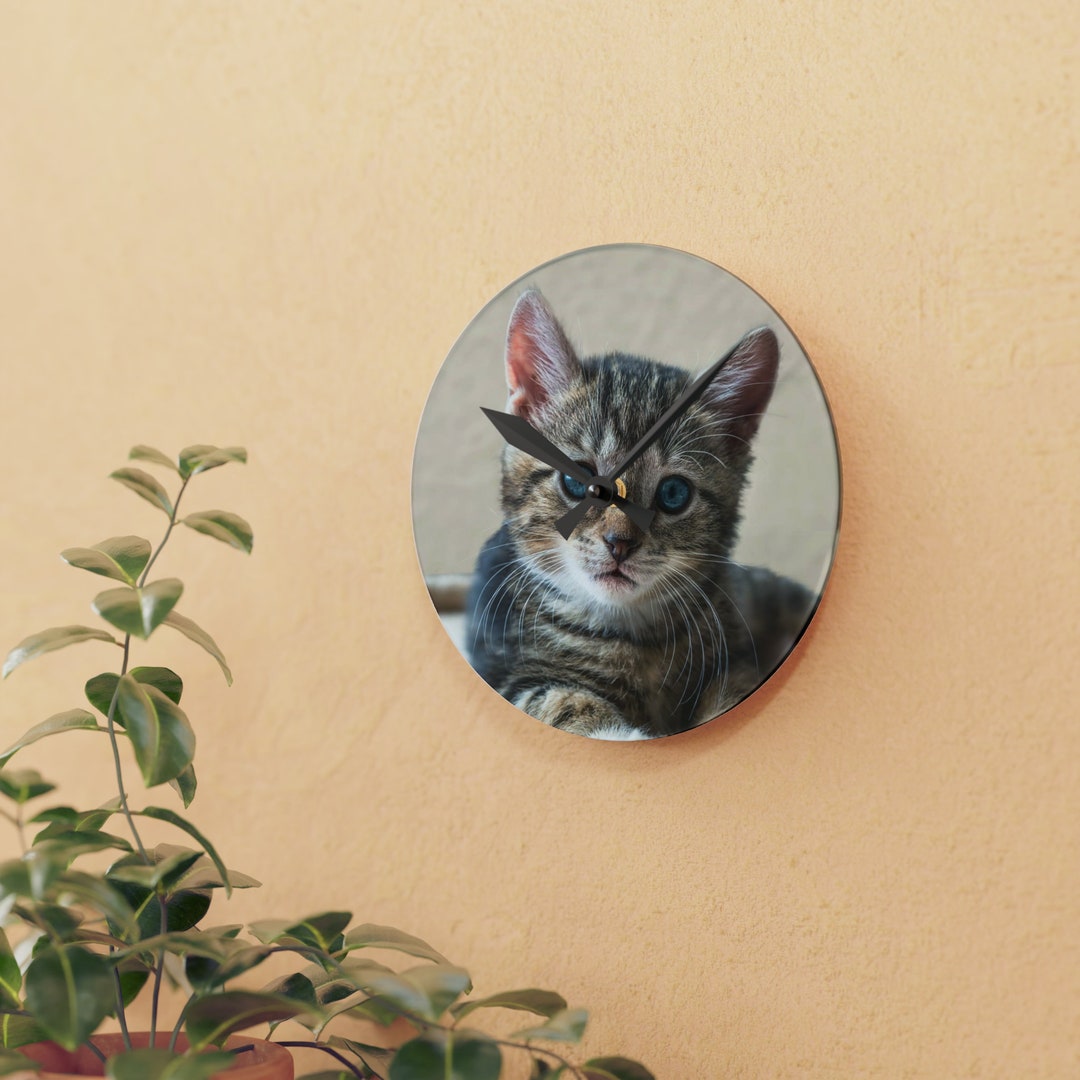 Clock Clocks Kitten Cat Cats Pets Animal Time British Short Hair - Etsy