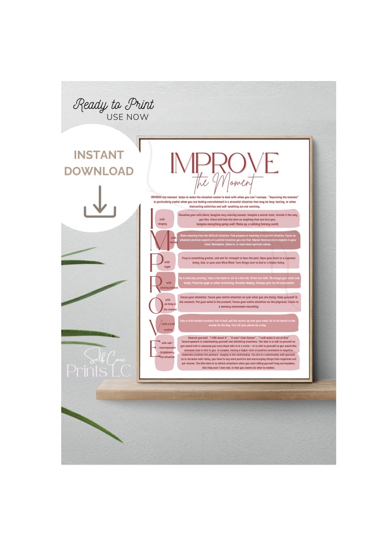 DBT IMPROVE the Moment Distress Tolerance Crisis Survival - Etsy Canada