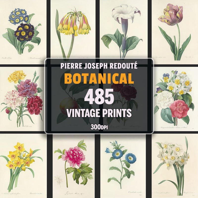 Vintage Botanical Prints - Etsy