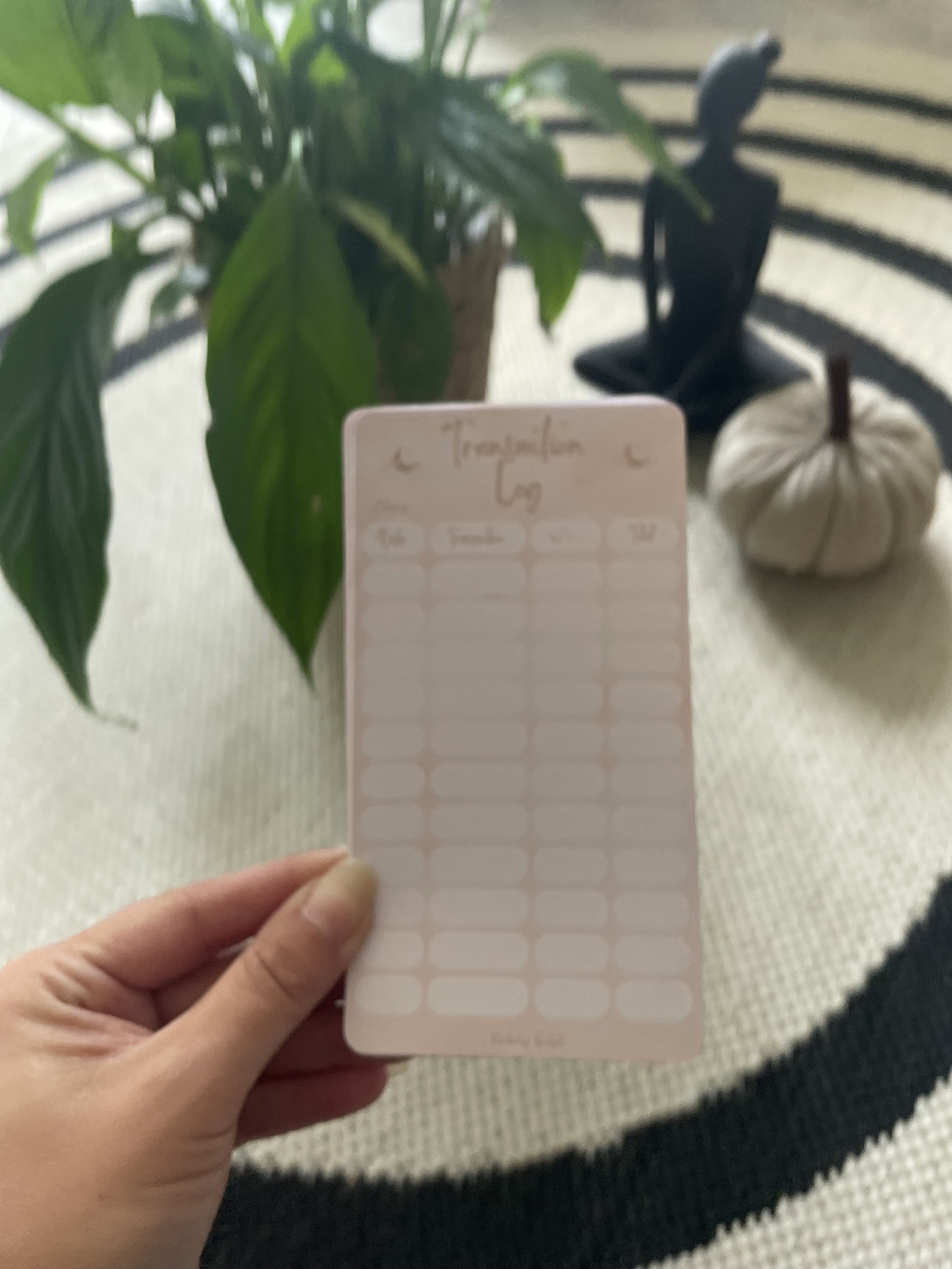 Pink Moon Transaction Log Slips Kimberley Budgets Cash - Etsy
