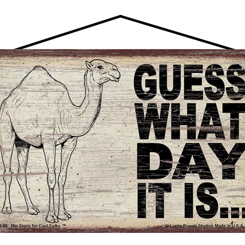 Hump Day Camel - Etsy