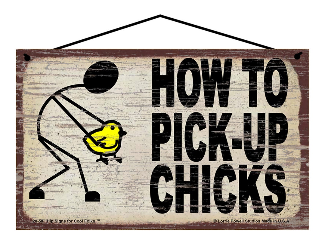 How to Pick up Chicks Vintage Style Sign Funny Cartoon Stick Figure ...