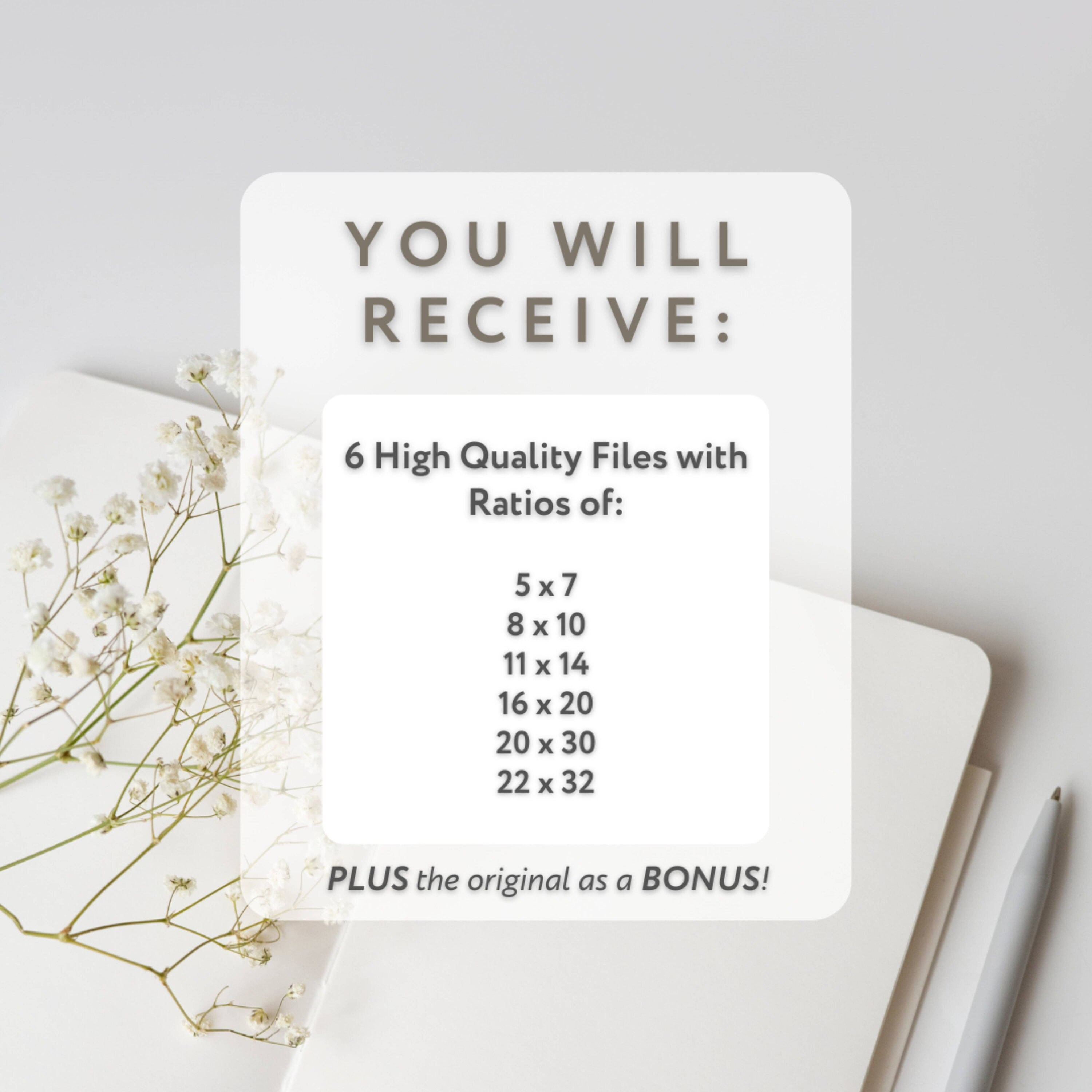 Printable Kawaii Dumplings Digital Download, Cute Steam Buns, Dimsum ...