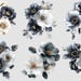 Watercolor Black and White Floral Clipart: Transparent PNG (digital ...