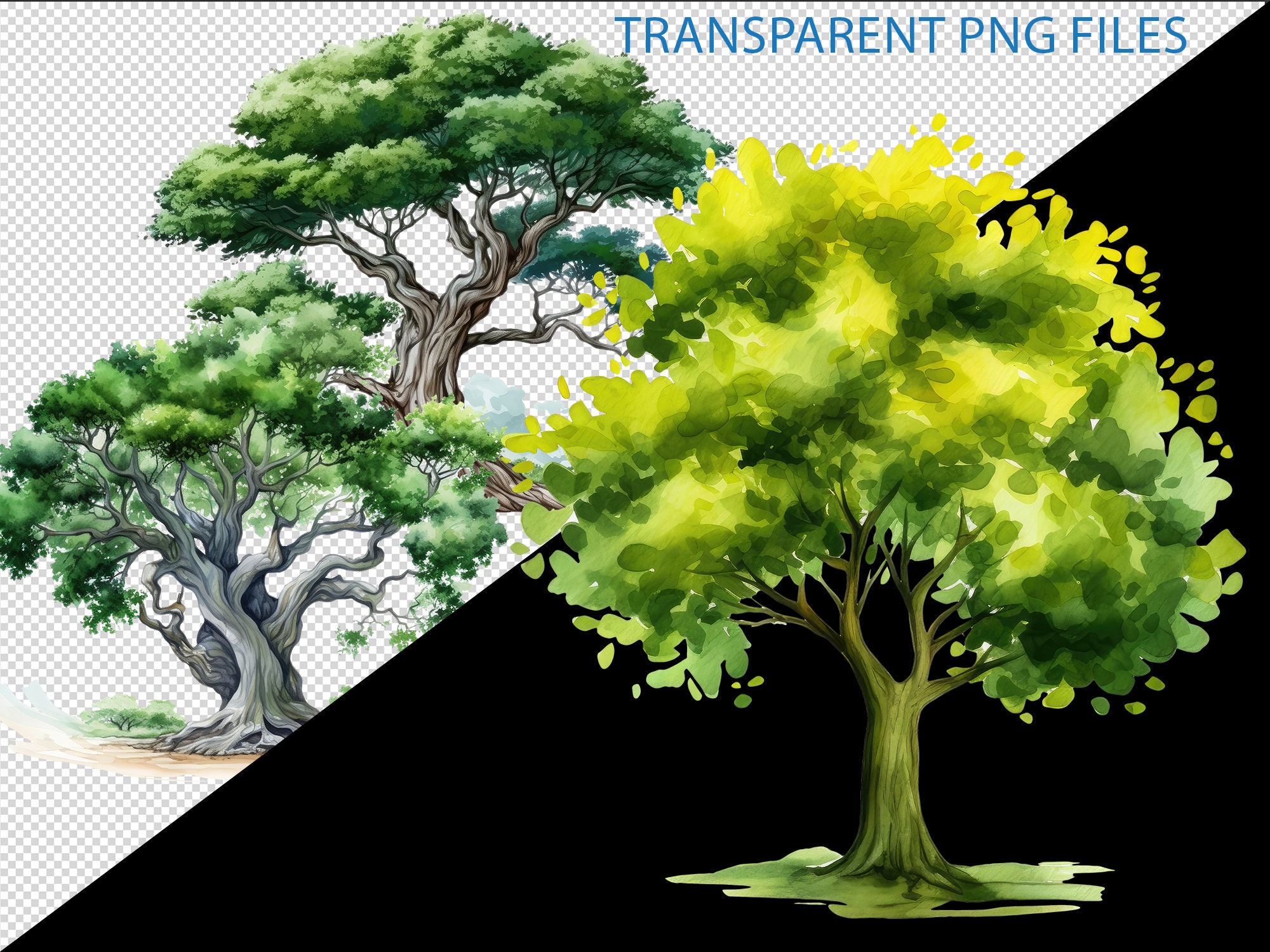 Enchanting Watercolor Tree Clipart Set of 10 PNG Transparent Files ...