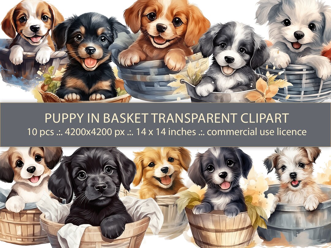 Watercolor Puppy Clipart Bundle - 10 PNG - Cute Puppy in Basket ...
