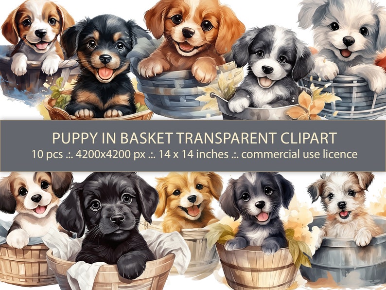 Watercolor Puppy Clipart Bundle 10 PNG Cute Puppy in - Etsy Canada
