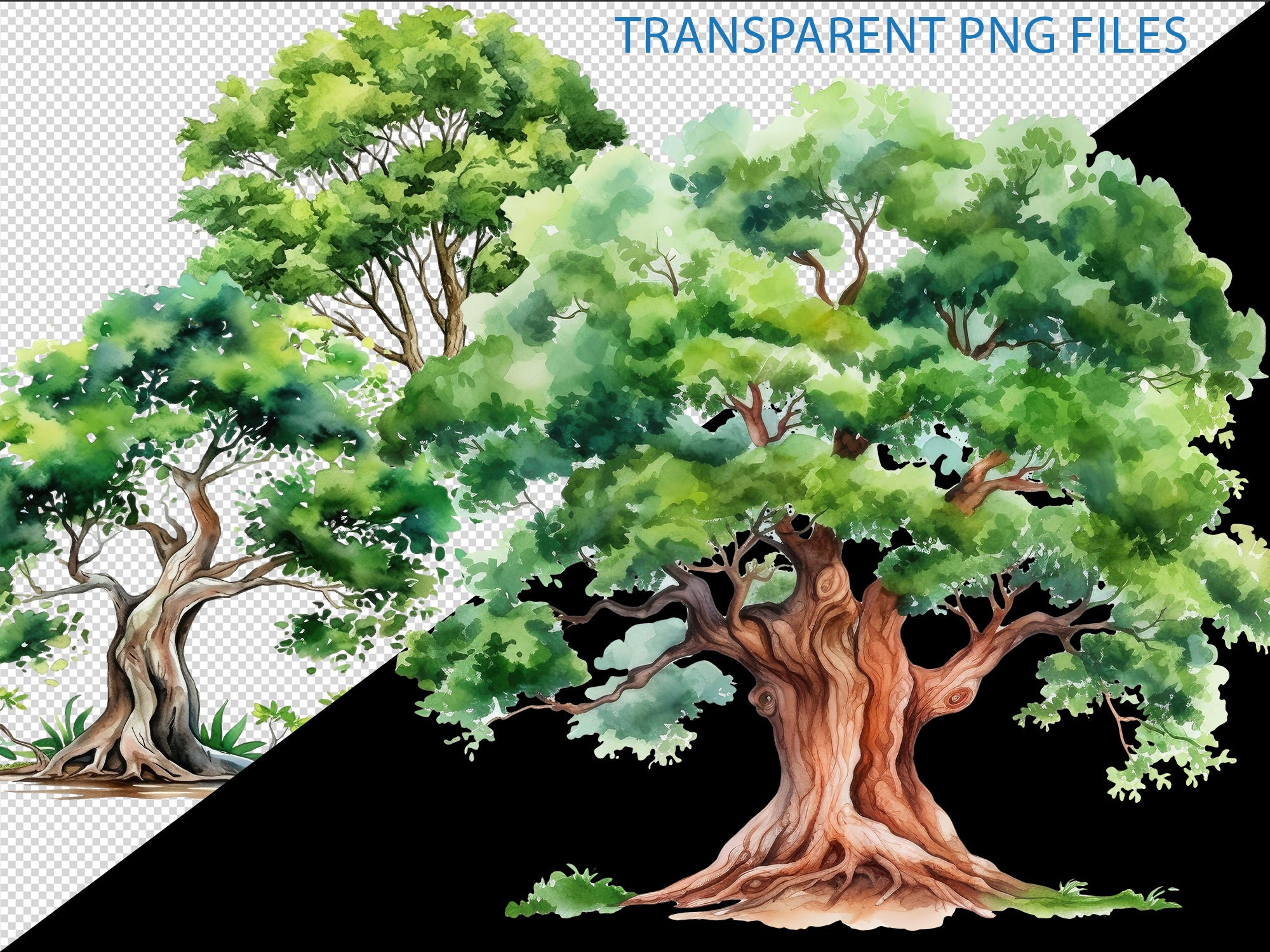 Enchanting Watercolor Tree Clipart Set of 10 PNG Transparent Files ...