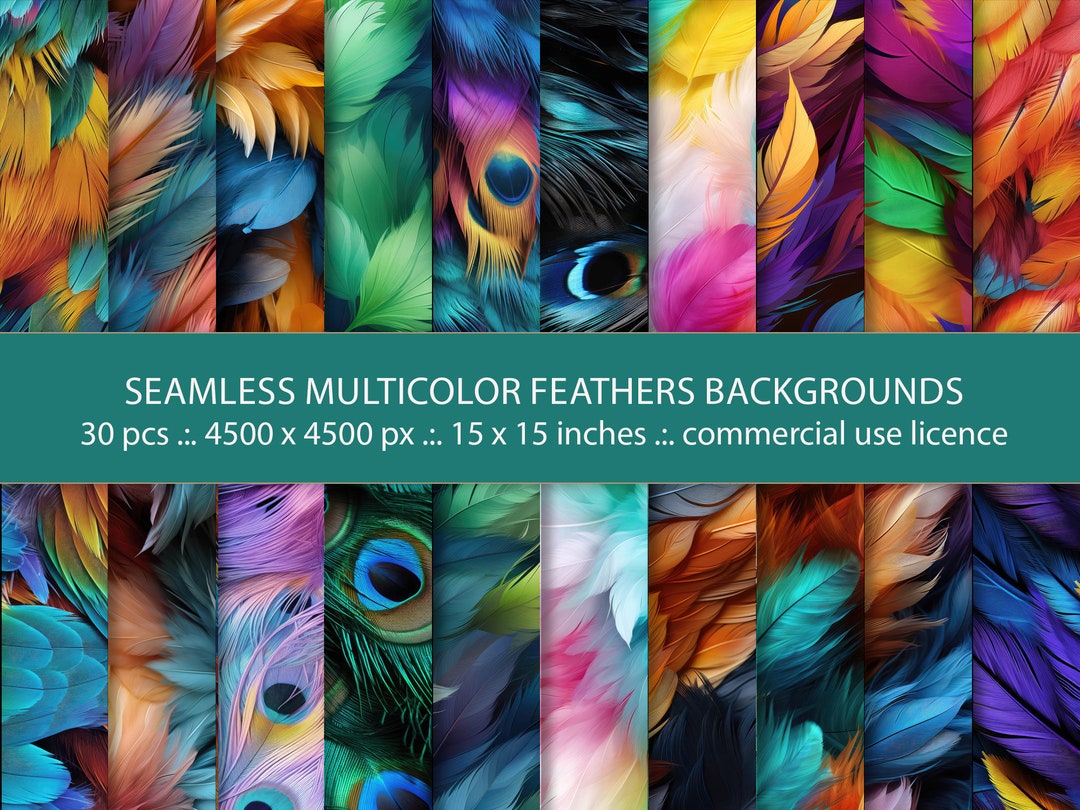 Colorful Feather Digital Paper: Seamless Textures (15x15 In) (digital ...