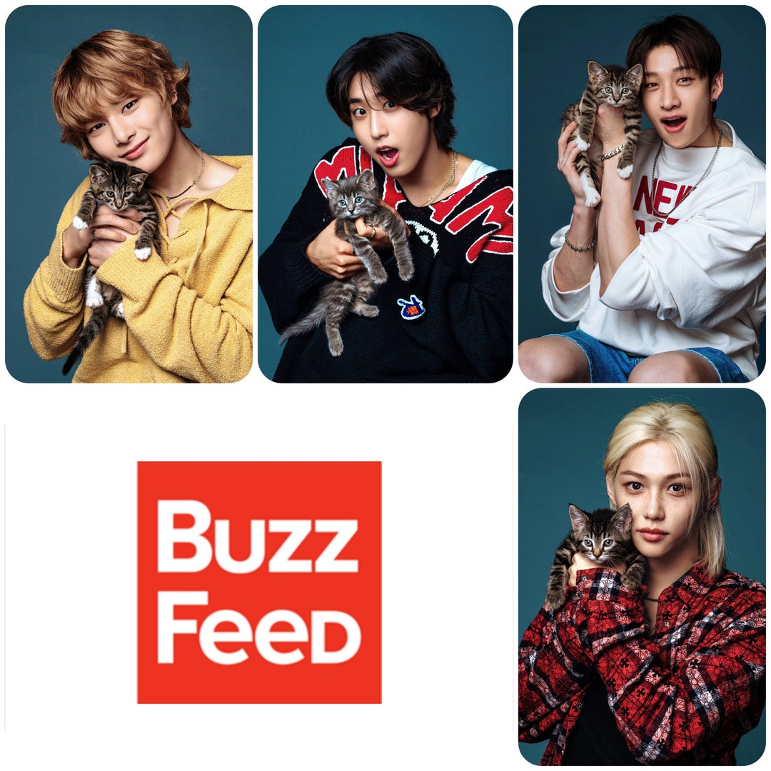 BF SKZ With Cats Photocards - Etsy