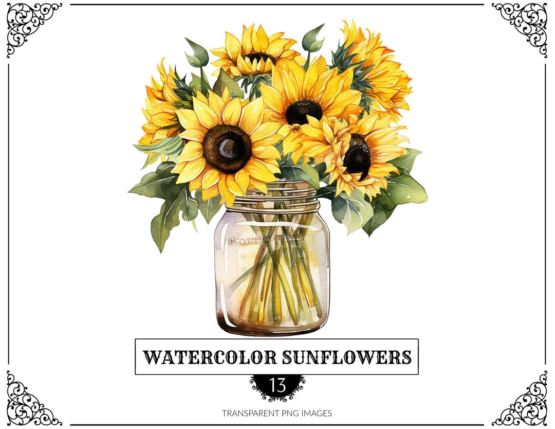 Watercolor Sunflowers Clipart PNG Graphics Instant Download for ...