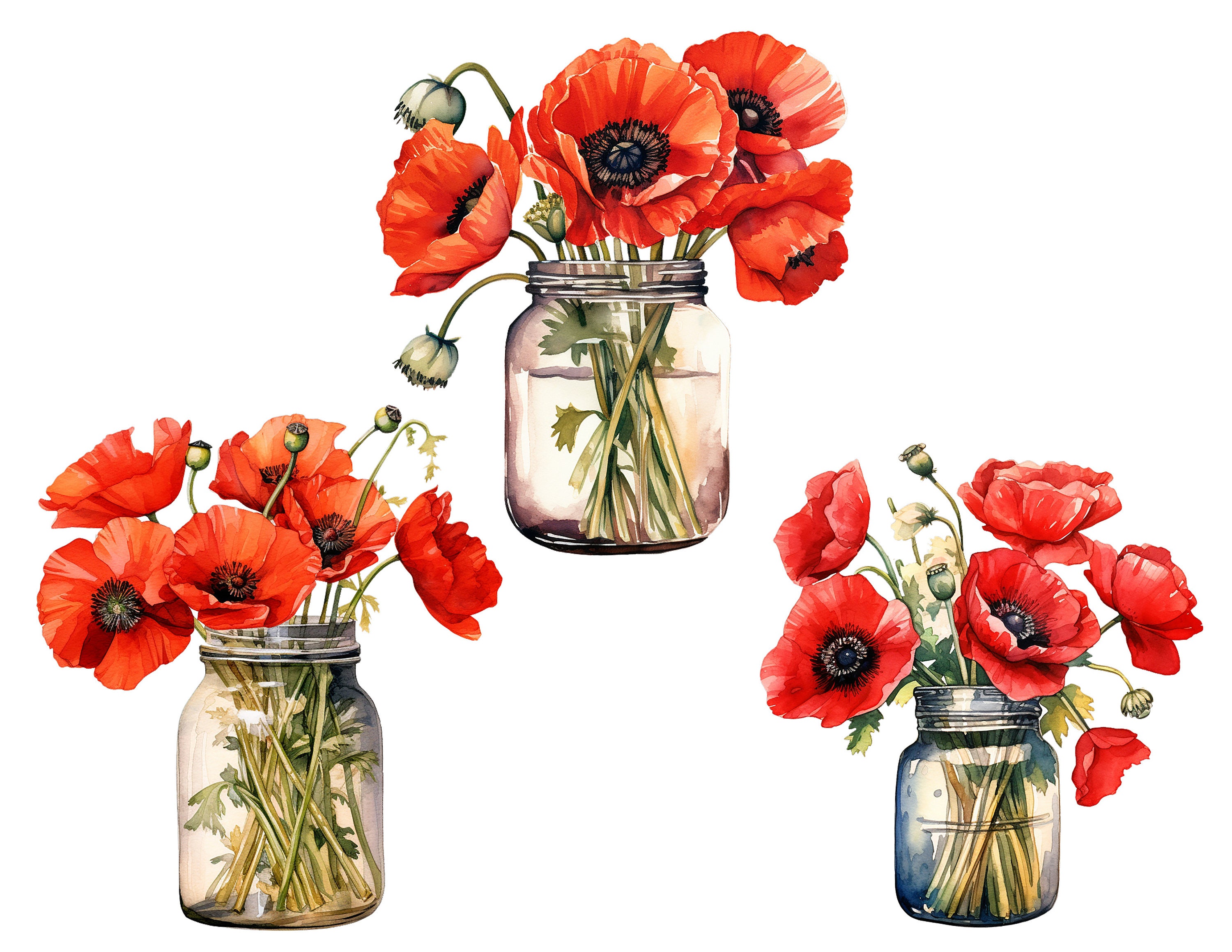 Watercolor Poppy Flowers in a Jar Clipart PNG Graphics Instant Download ...